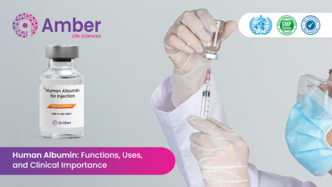 Human Albumin: Functions, Uses, and Clinical Importance - Amber ...