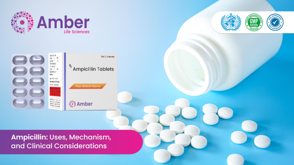 Ampicillin: Uses, Mechanism, and Clinical Considerations - Amber ...